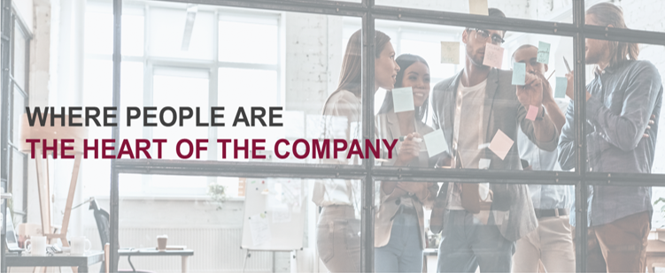 careers msg global solutions