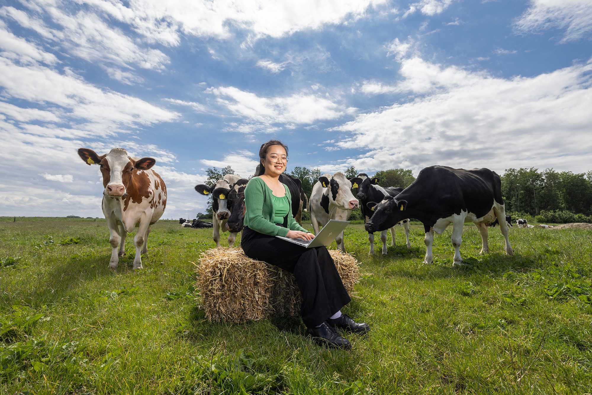 Careers at Royal Agrifirm Group