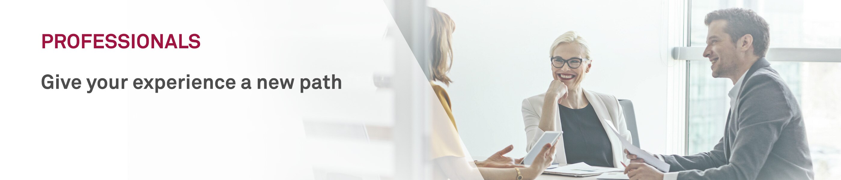 careers msg global solutions