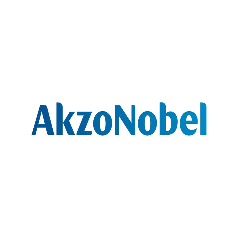 Regional Project Manager and Analyst Job Details | AkzoNobel