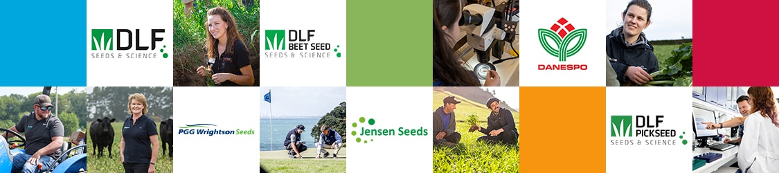 dlf global values innovation and entrepreneurship we continuously ...